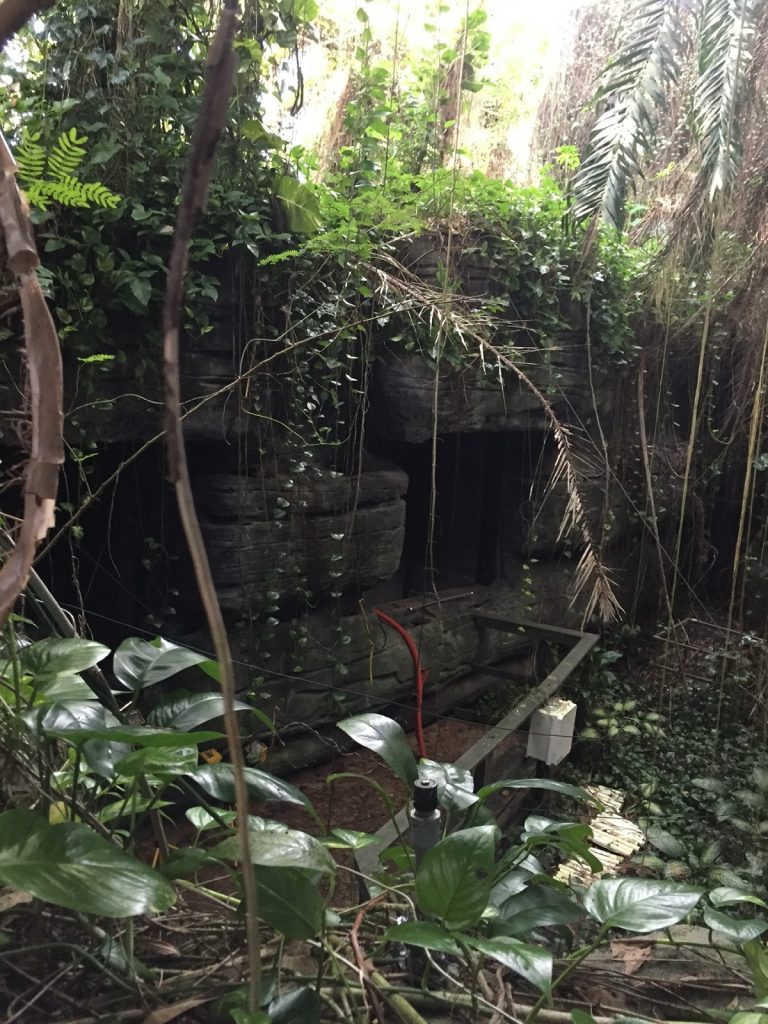 Review: Revisit the controversial Biosphere 2 project with Spaceship ...