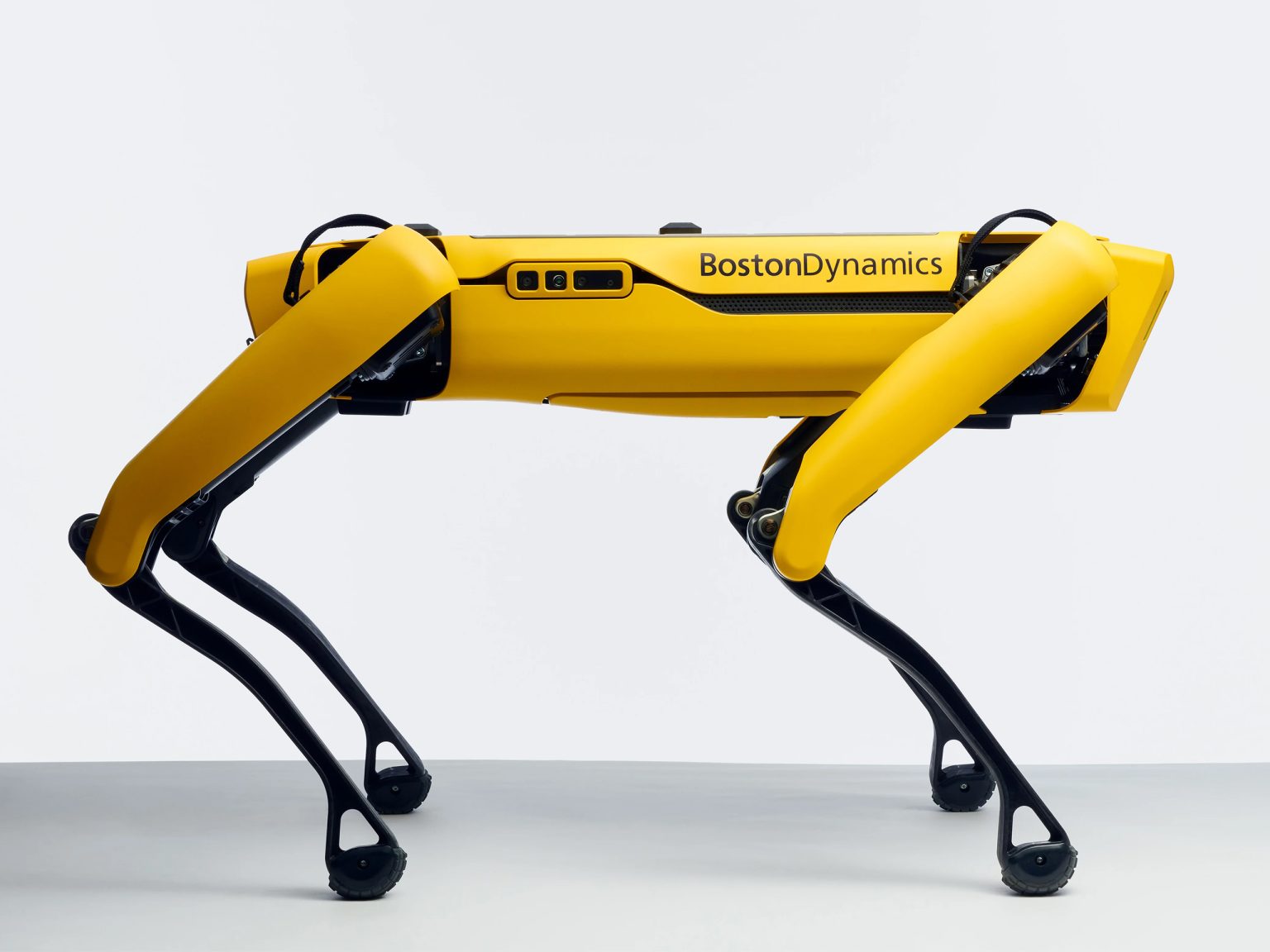 Boston Dynamics now sells a robot dog to the public, starting at ...