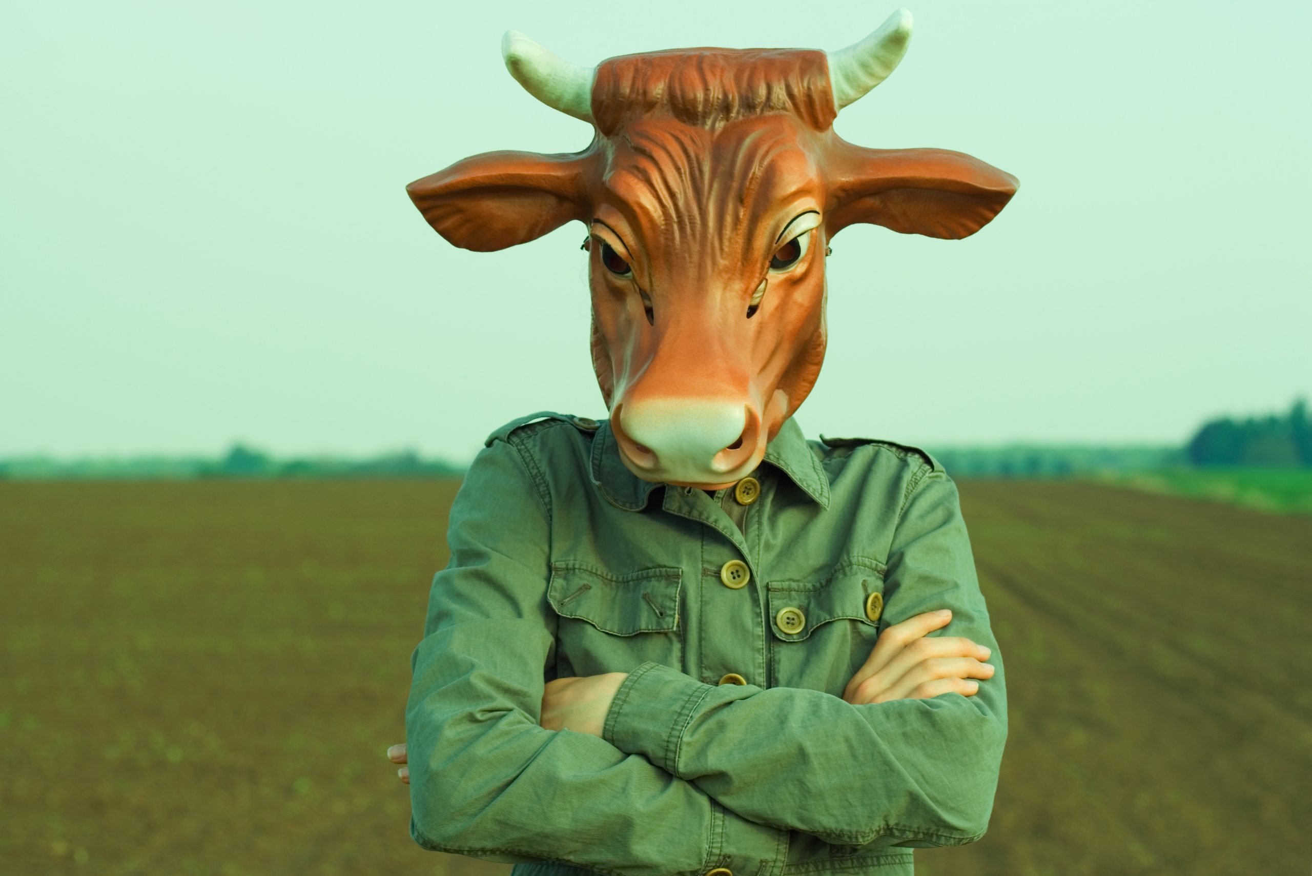 Twitter not liable in Devin Nunes’ beef with cow account, judge rules ...