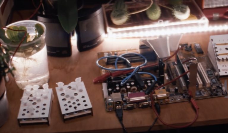 Netflix’s German sci-fi thriller Biohackers just might be the new Dark ...