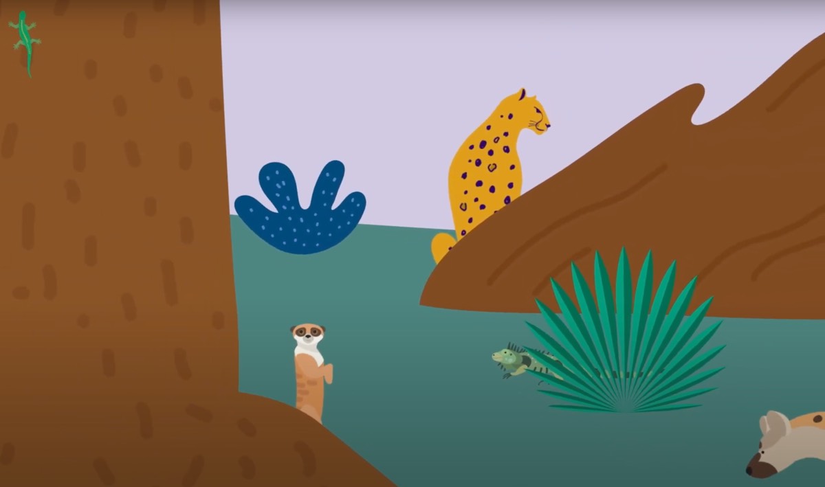 How the geometry of ancient habitats may have influenced human brain ...