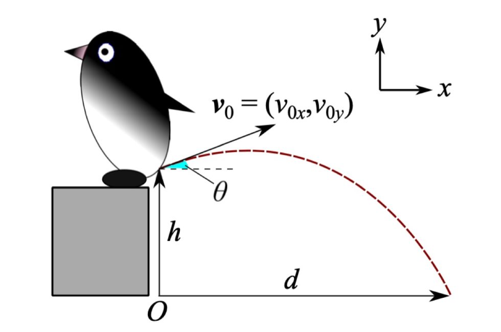 The explosive physics of pooping penguins: they can shoot poo over four ...