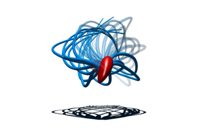 Human sperm swim more like otters than eels, study finds [UPDATED ...