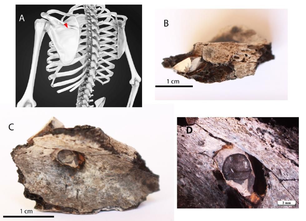 This 9,000-year-old skeleton is the oldest cremation in the Near East ...