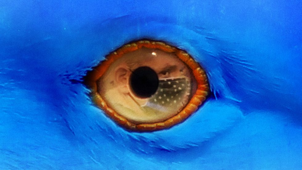 New Jersey prosecutors drop charges over tweeting a cop’s photo ...