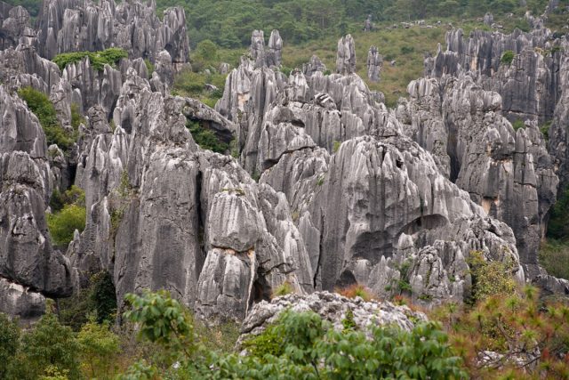 Mathematicians may have unlocked the secret of how “stone forests” form ...