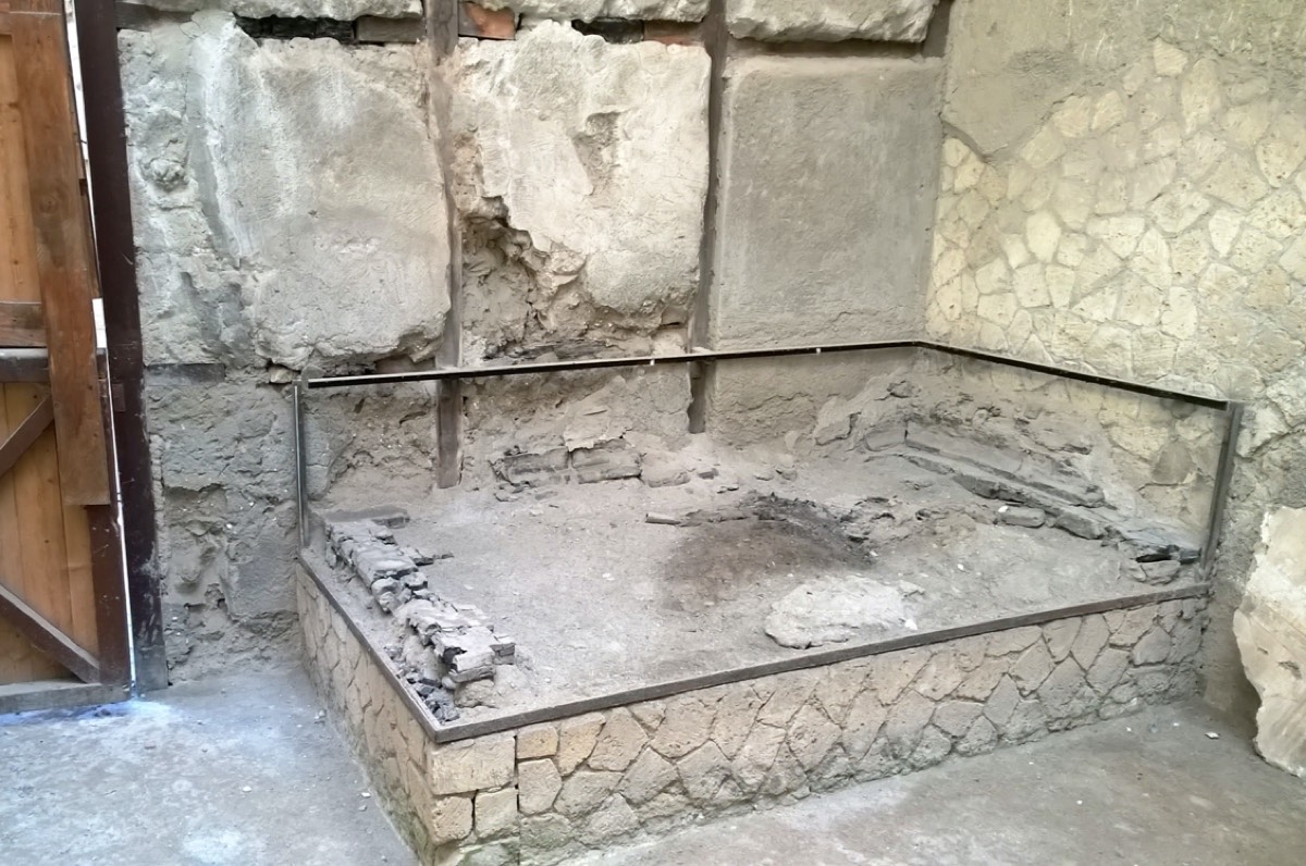 Archaeologists find evidence of neurons in glassy brain of Vesuvius ...