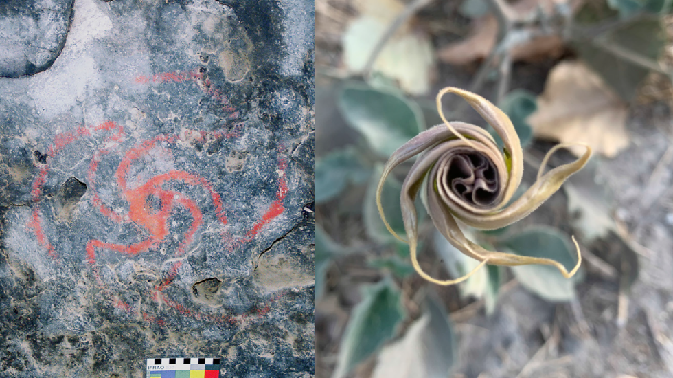 Rock art in a California cave was a visual guide to hallucinogenic ...