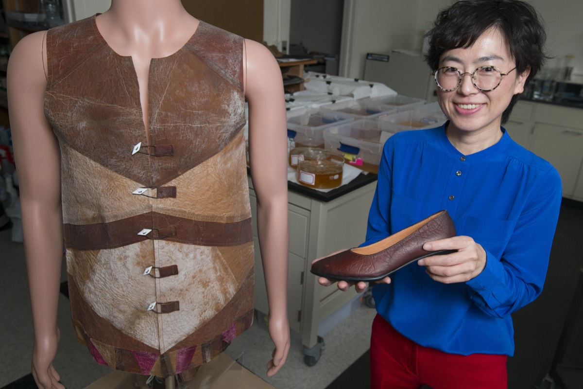 Kombucha tea is trendy, but it has also inspired new “living materials ...