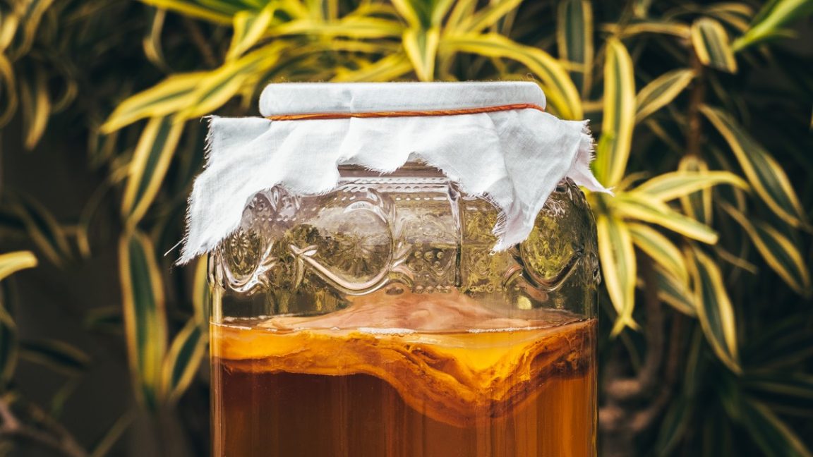 Kombucha tea is trendy, but it has also inspired new “living materials ...