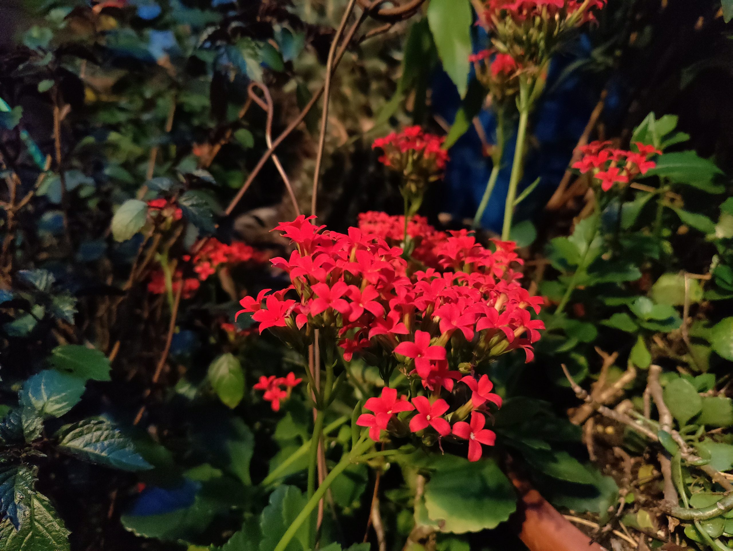 OnePlus 9 Pro Review—Keeping the slightest lead in front of Samsung ...