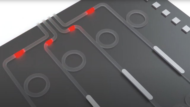 Programmable optical quantum computer arrives late, steals the show ...