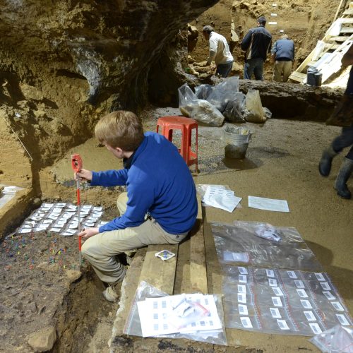 Tag: ancient DNA - Ars Technica