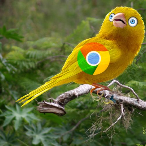 Tag: chrome canary - Ars Technica