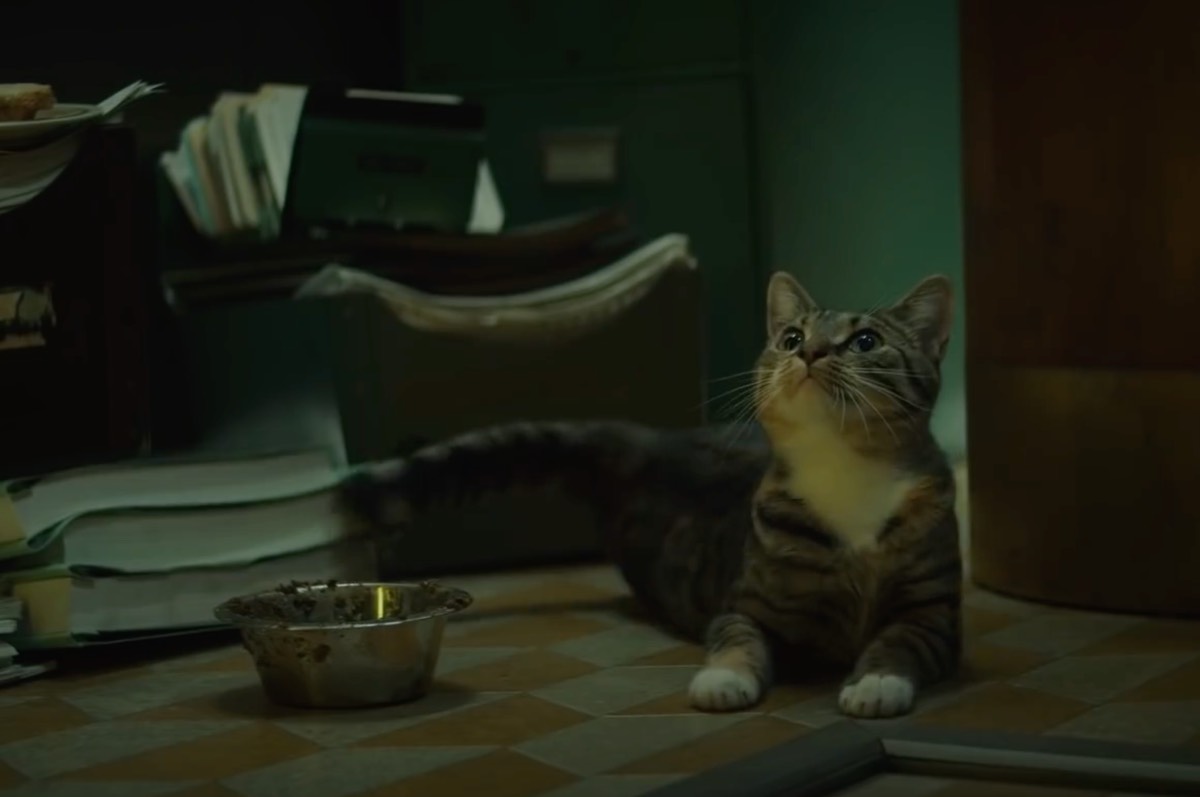 Our favorite trickster god teams up with time cops in official Loki ...