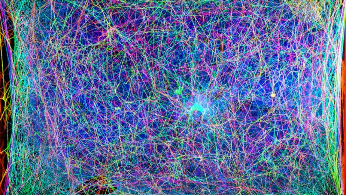 MIT scientists study spider web structure by translating it into music ...