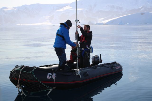 Secrets of the Whales explores language, social structure of giants of ...