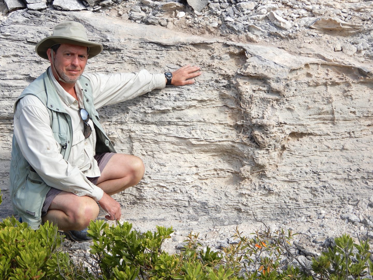 Trace fossils, the most inconspicuous bite-sized window into ancient ...