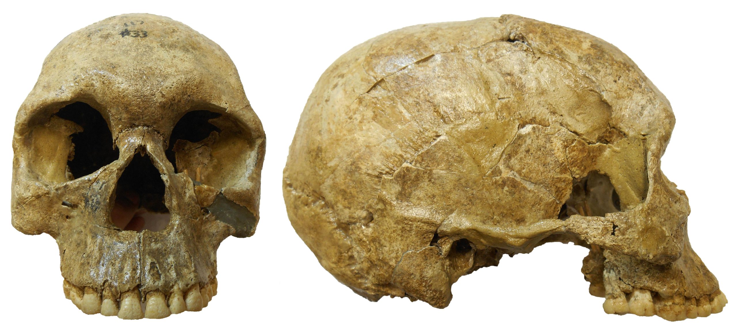 Ancient cemetery tells a tale of constant, low-level warfare - Ars Technica