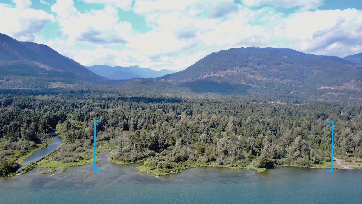 Indigenous forest gardens remain productive and diverse for over a ...