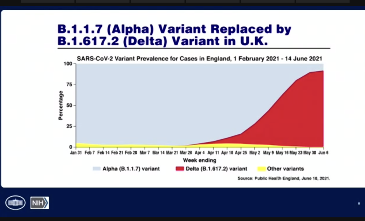 Once-dreaded Alpha variant is falling fast—Delta and Gamma take over ...