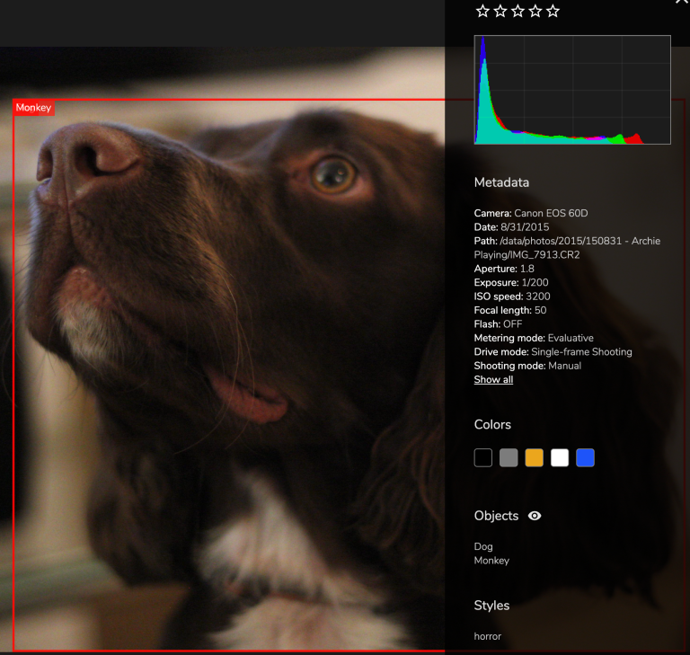 Google Photos is so 2020—welcome to the world of self-hosted photo ...