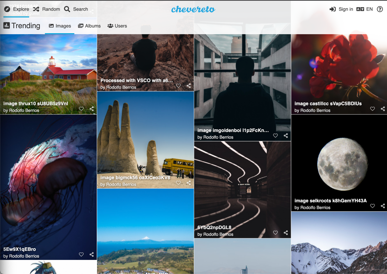Google Photos is so 2020—welcome to the world of self-hosted photo ...