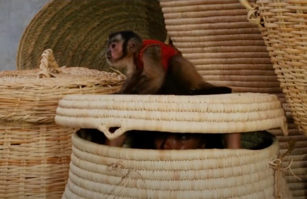 Raiders of the Lost Ark turns 40, and it’s still an unqualified ...