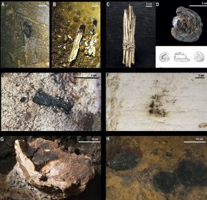 Archaeologists recreated three common kinds of Paleolithic cave ...