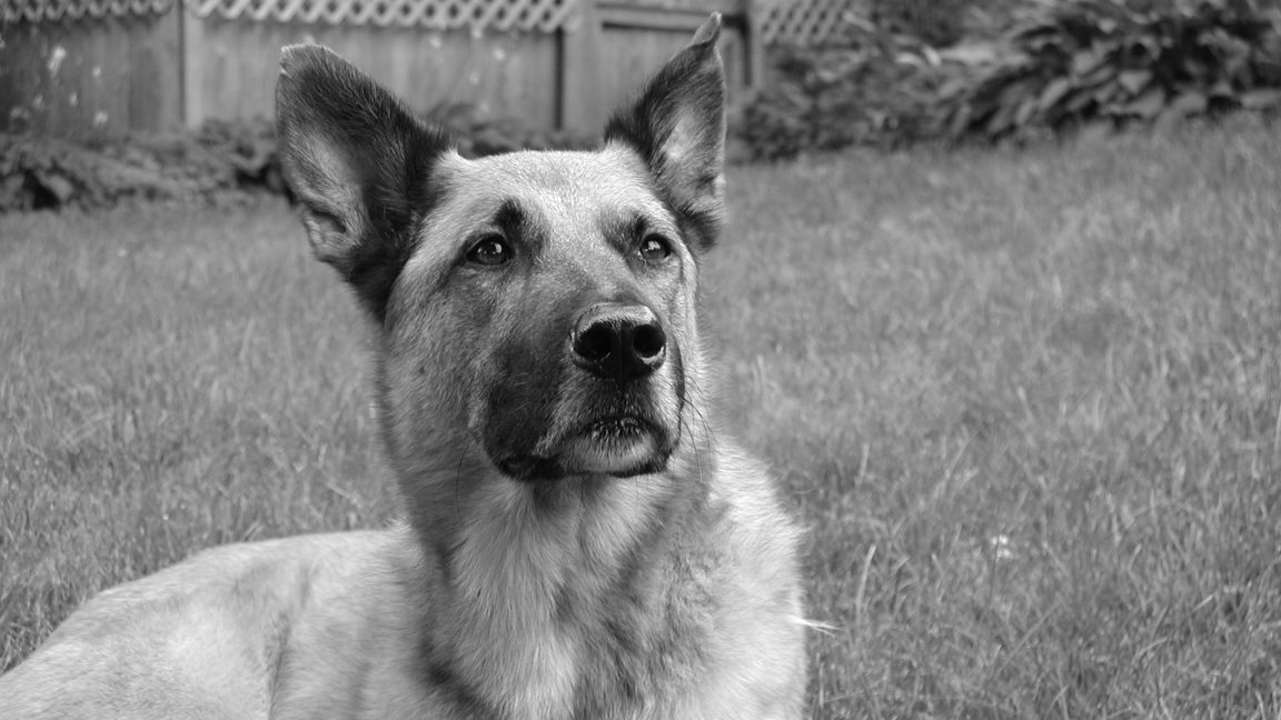 Researchers demonstrate that malware can be hidden inside AI models ...