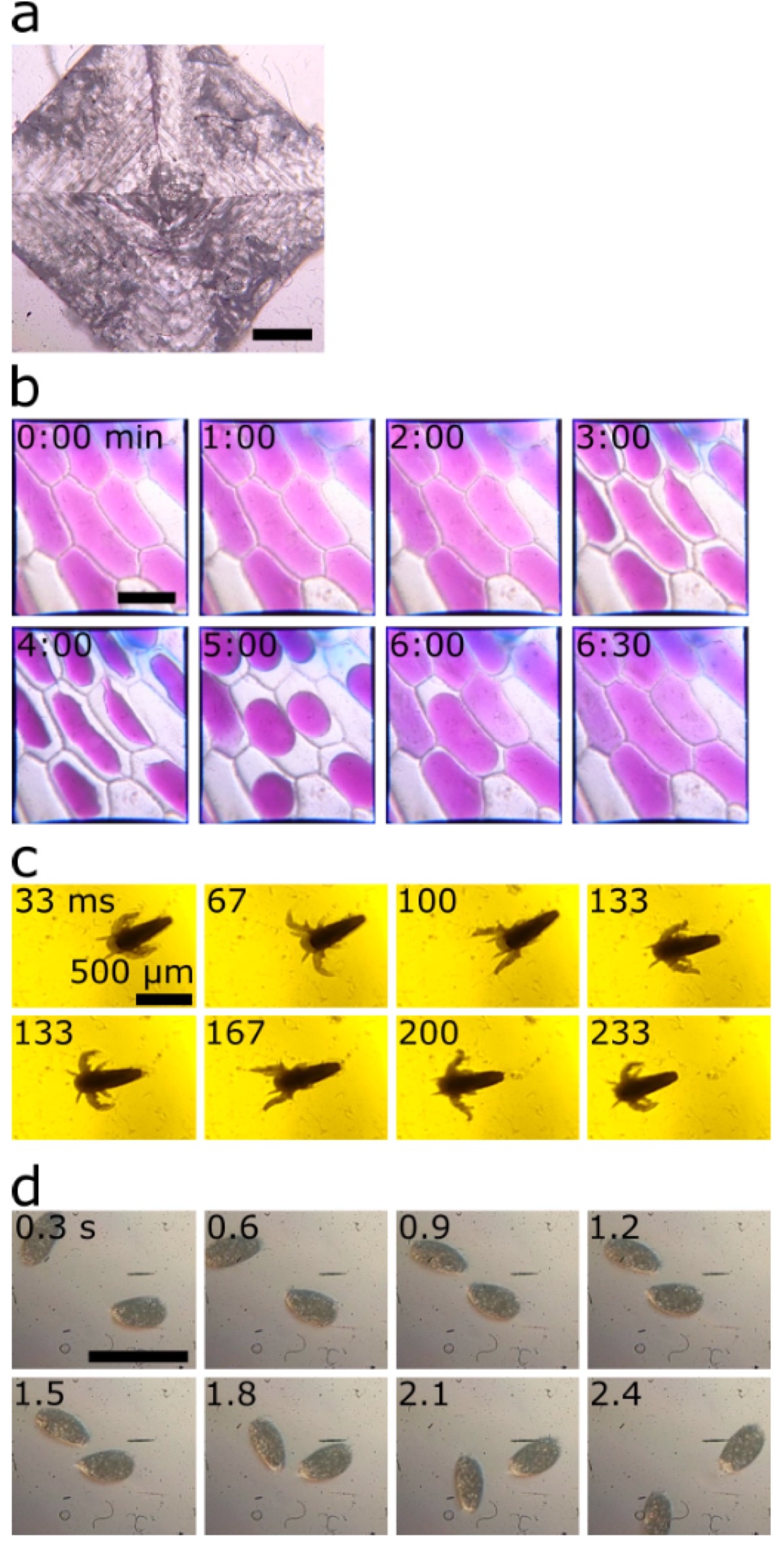 German scientists built a high-resolution microscope out of Lego bricks ...