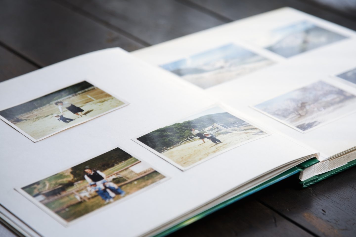 Stingle is a privacy-focused open source photo backup application - Ars ...
