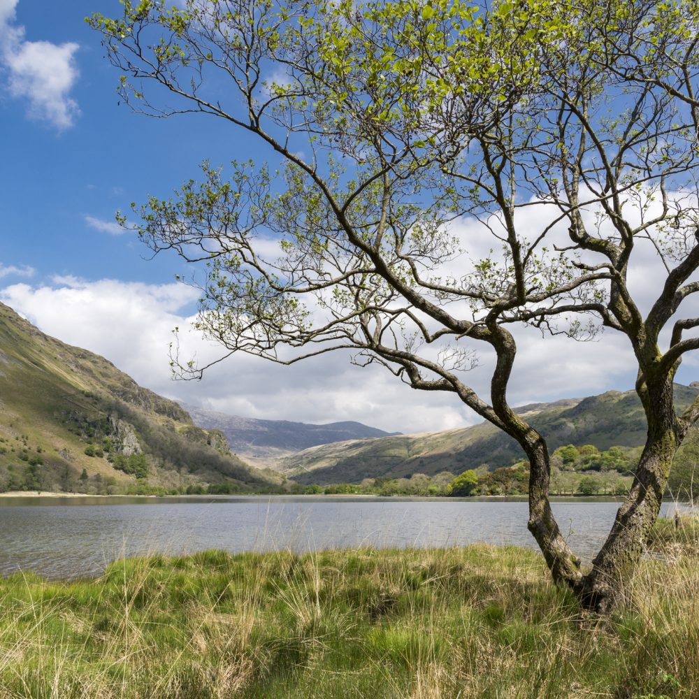 Author: Jim Salter - Ars Technica