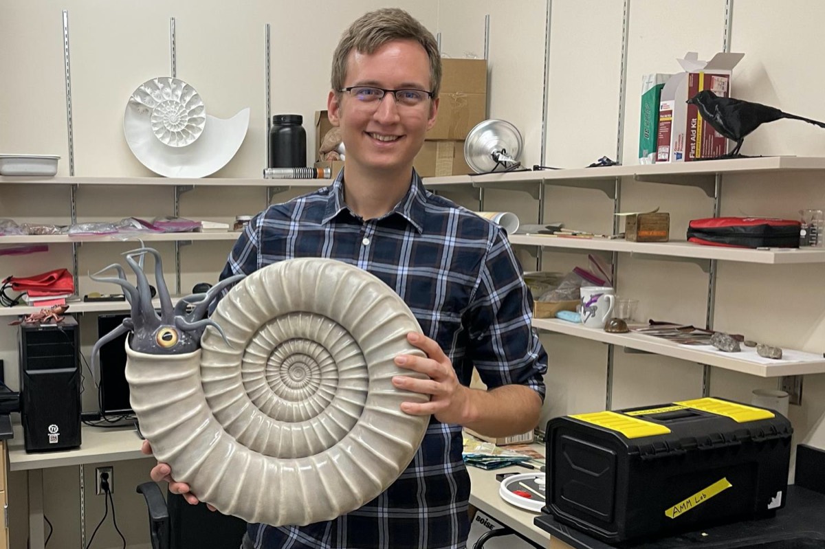 Study: These ancient straight-shelled cephalopods lived the vertical ...