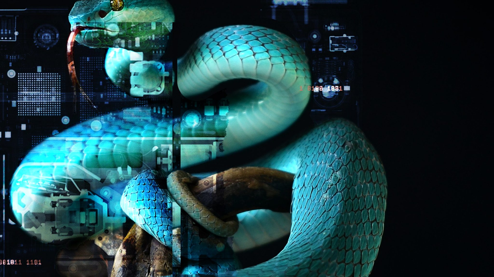 He escaped the dark web’s biggest bust. Now he’s back - Ars Technica