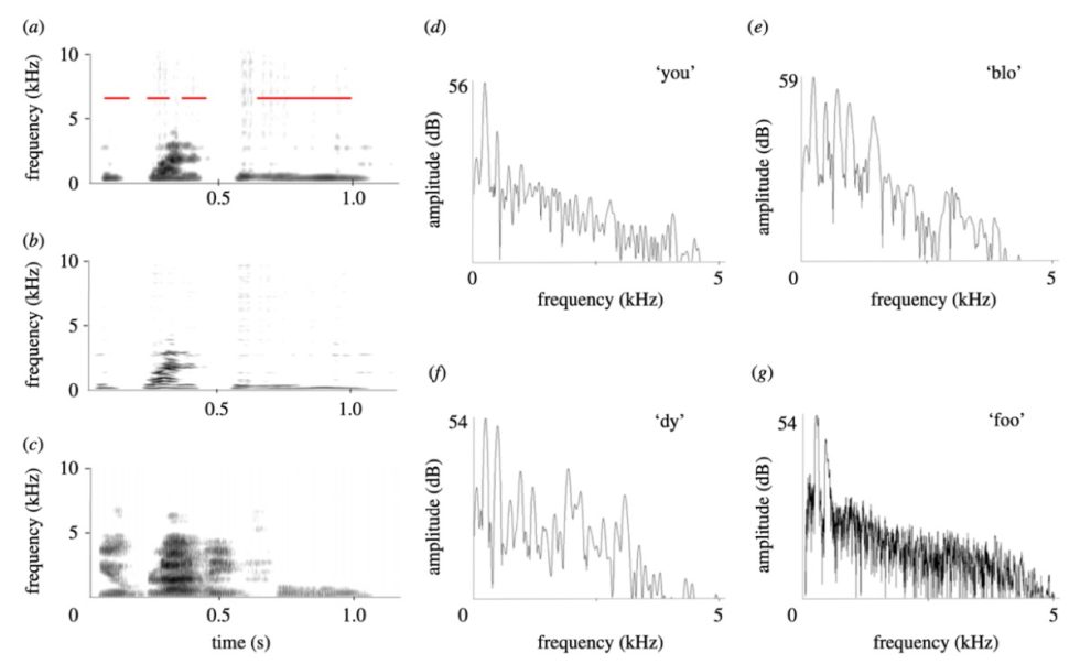 Confirmed: A duck named Ripper learned how to say “You bloody fool ...