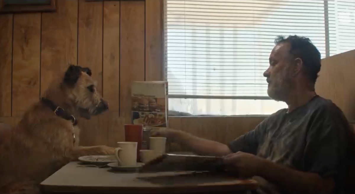 Finch trailer is carefully tailored to push all the right warm, fuzzy ...