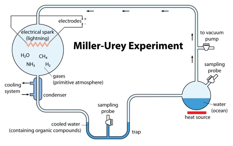 Scientists recreated classic origin-of-life experiment and made a new ...