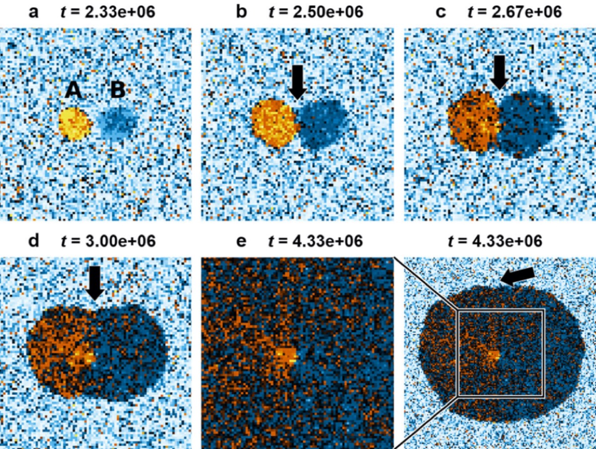 Self-healing quasicrystals may resurrect hopes of practical ...