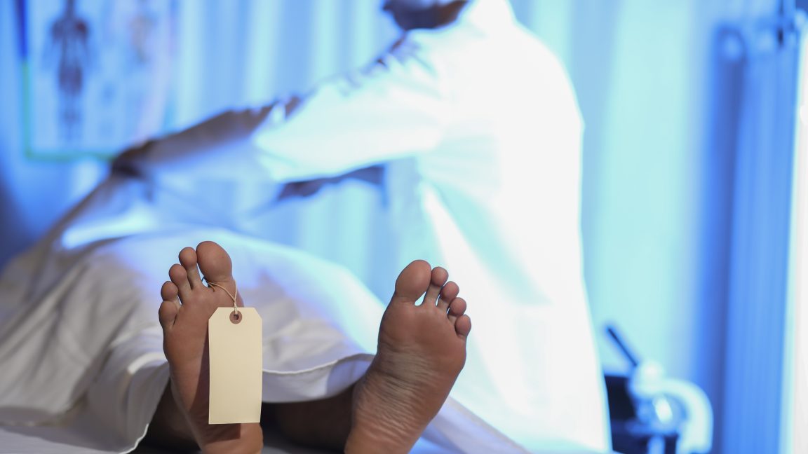 Stolen organs, faces, dead babies: Feds bust heinous body-part ...