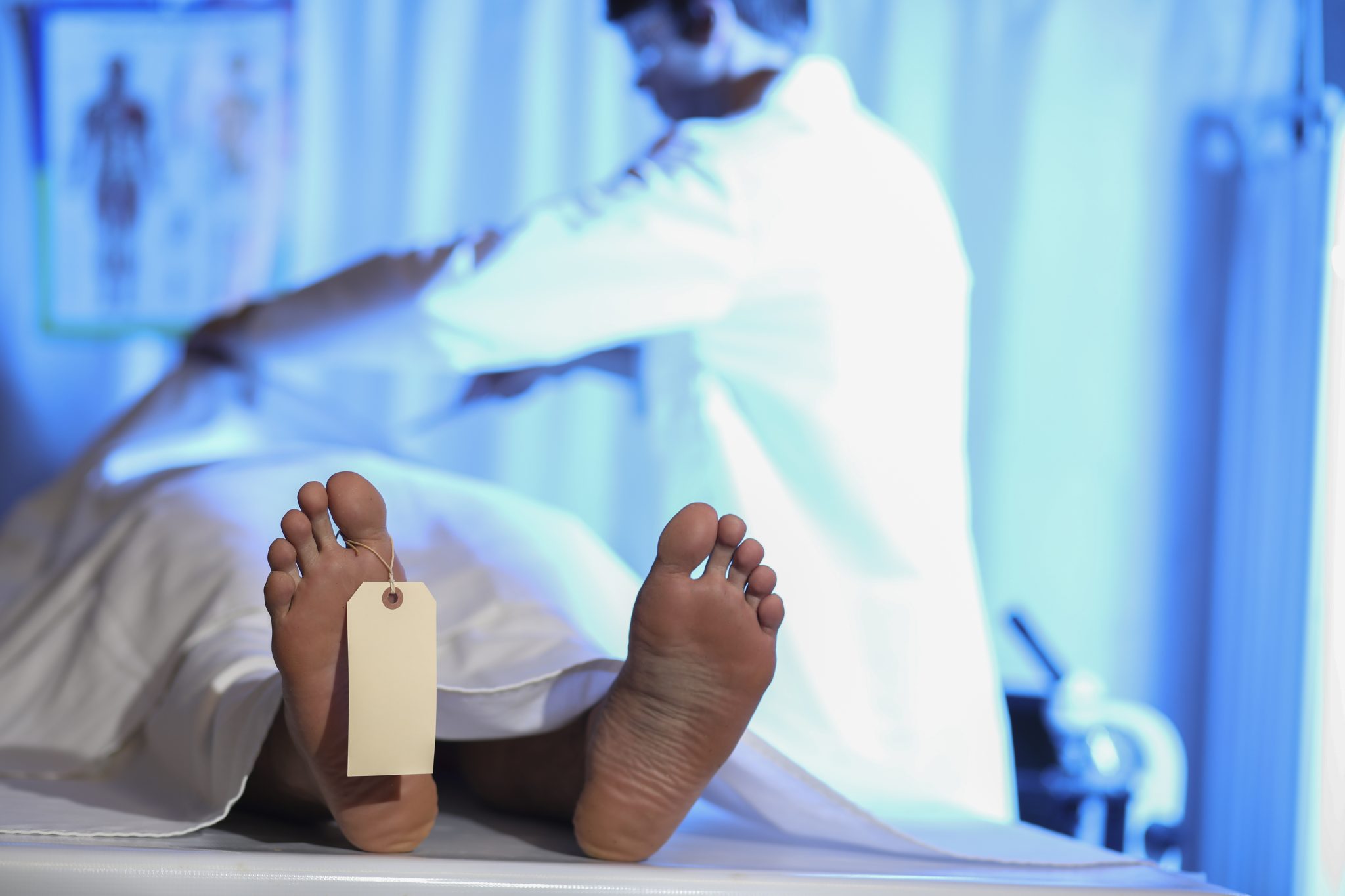 Stolen organs, faces, dead babies: Feds bust heinous body-part ...