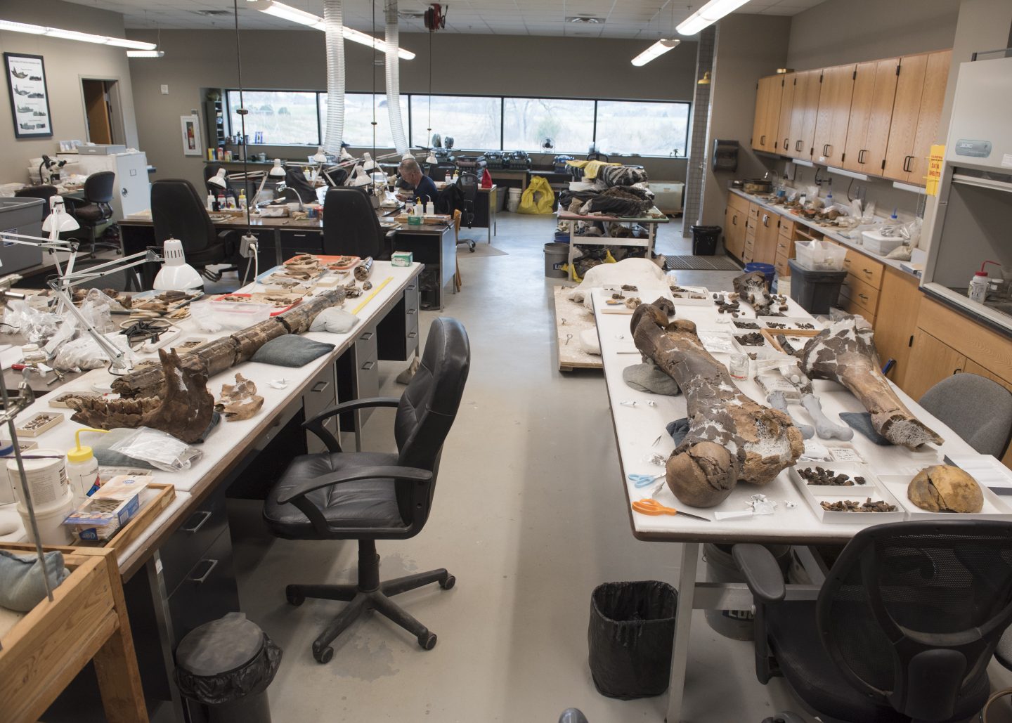 A fossil site reveals an ancient sinkhole and its enormous occupant ...