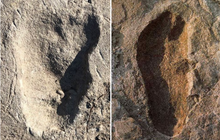 At least 2 hominin species lived at Laetoli site 3.6 million years ago ...
