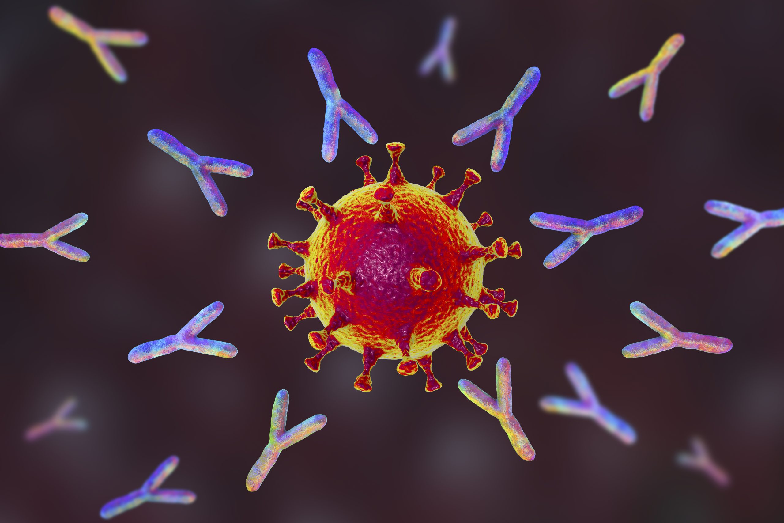 Immune system vs. virus: Why omicron had experts worried from the start ...