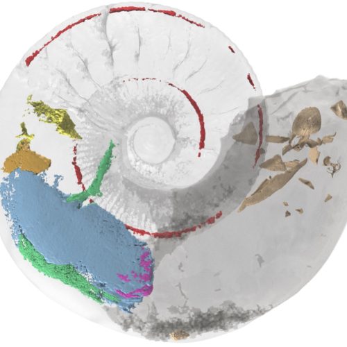 Tag: 3D virtual models - Ars Technica