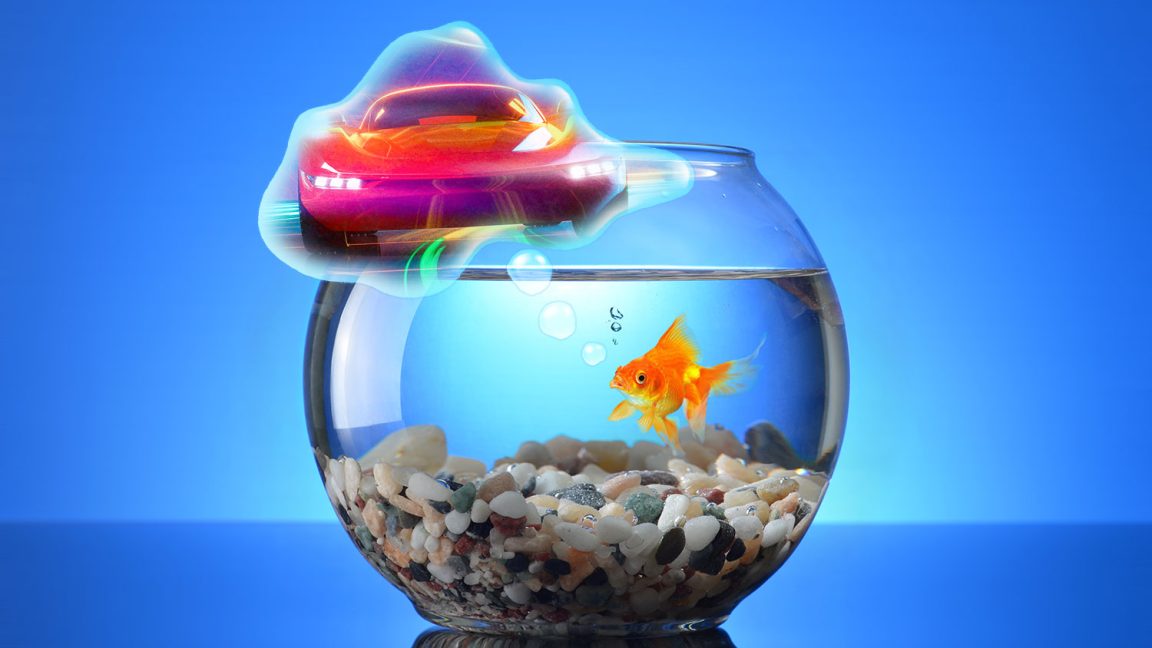 Scientists train goldfish to drive a fish-operated vehicle on land ...