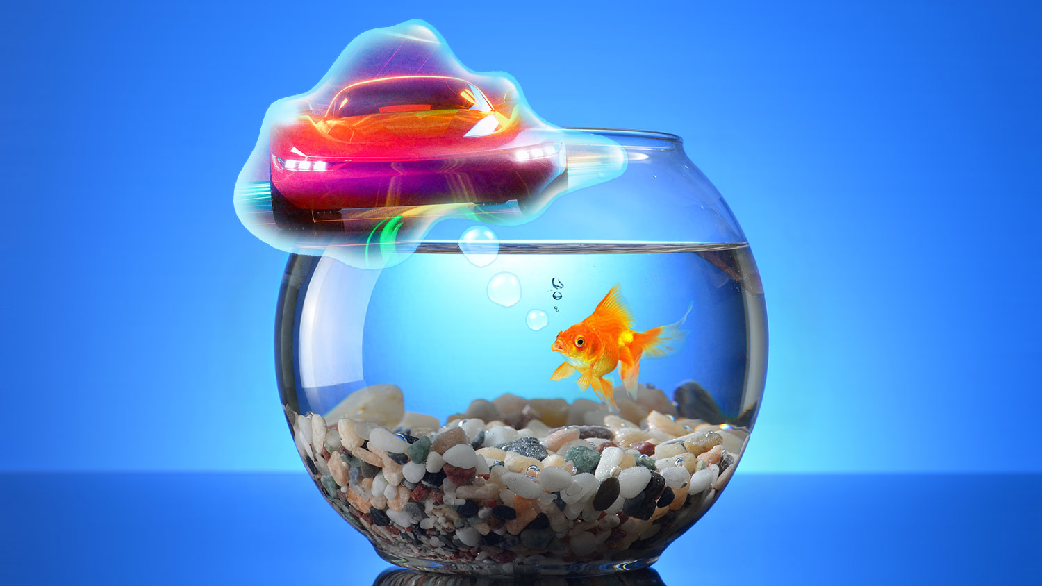 Scientists Train Goldfish To Drive A Fish operated Vehicle On Land 