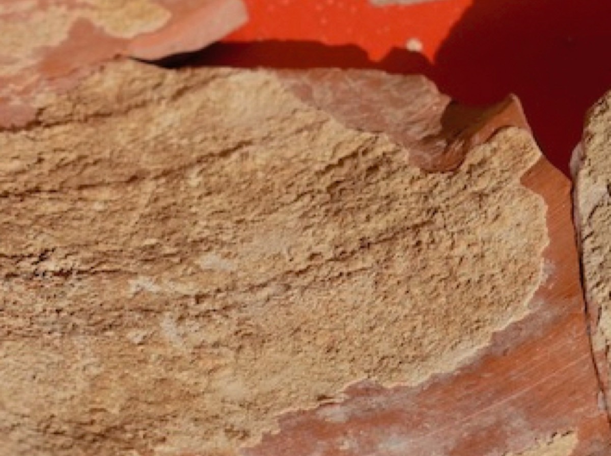 This Ancient Roman ceramic pot was probably a portable toilet, study ...