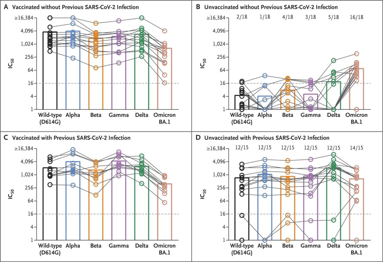 Omicron Is Trouncing The Argument For Natural Immunity To Covid Ars