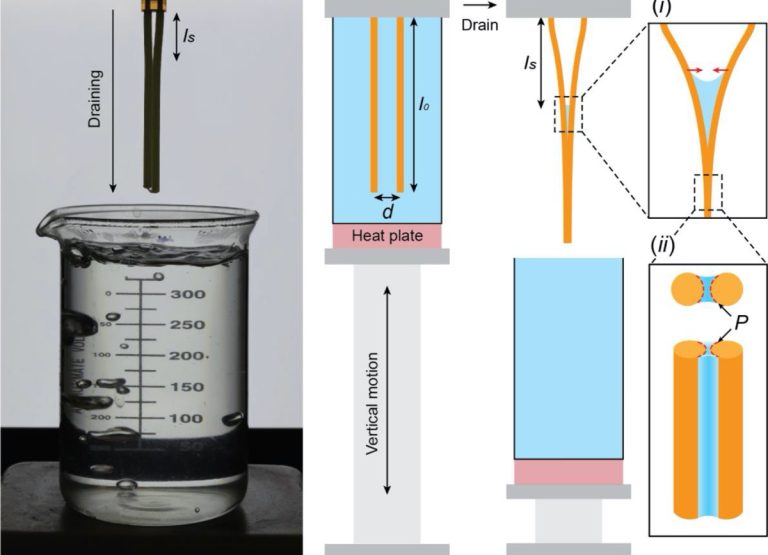How to tell if your spaghetti is perfectly done using just a simple ...